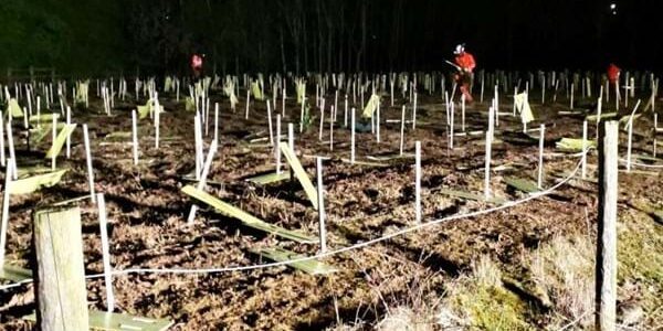 National Highways - Supply Chain Sustainability School