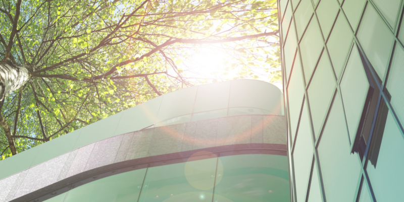 Board Elections 2026 - Supply Chain Sustainability School